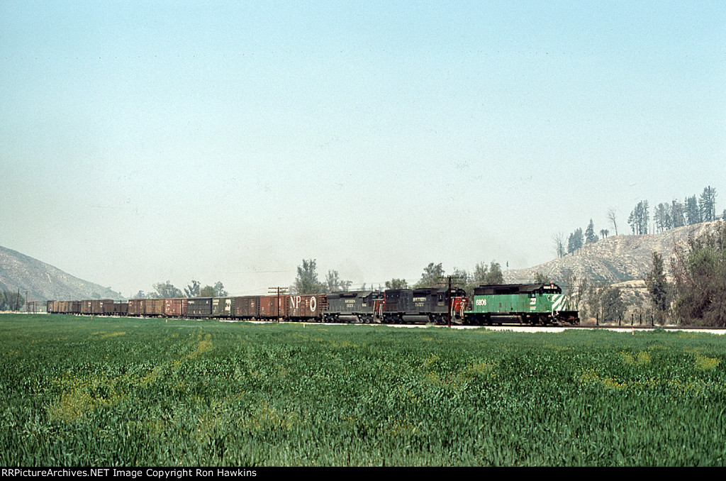 BN 6806